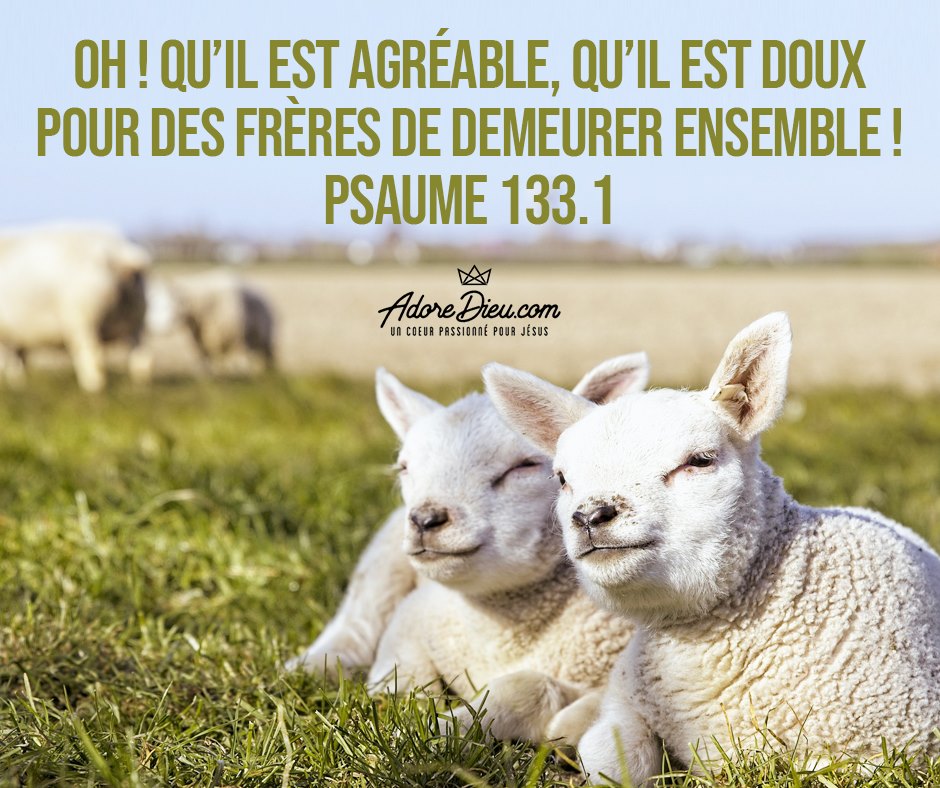 Voici, oh ! qu'il est agréable, qu'il est doux Pour des frères de demeurer ensemble ! Psaumes ...